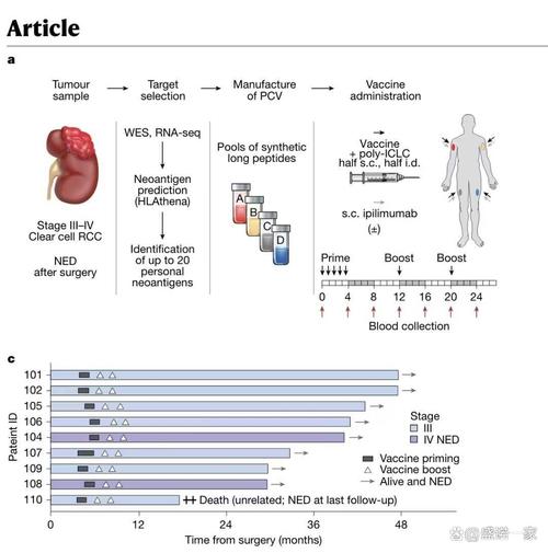 Understanding Postmenopausal Breast Cancer Risk Factors: A ...