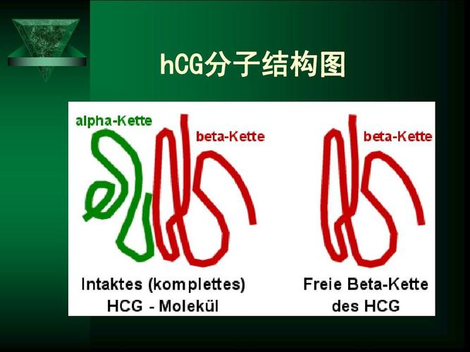 Elevated Beta hCG Postmenopausal: Understanding the Causes, Diagnosis ...