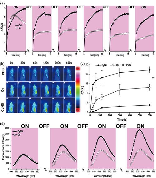 Navigating the Female Hormonal Journey: Follicular Phase, Mid-Cycle ...