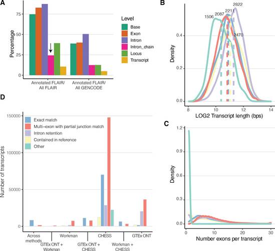 Perimenopause and Irregular Periods: Your Expert Guide to Navigating ...