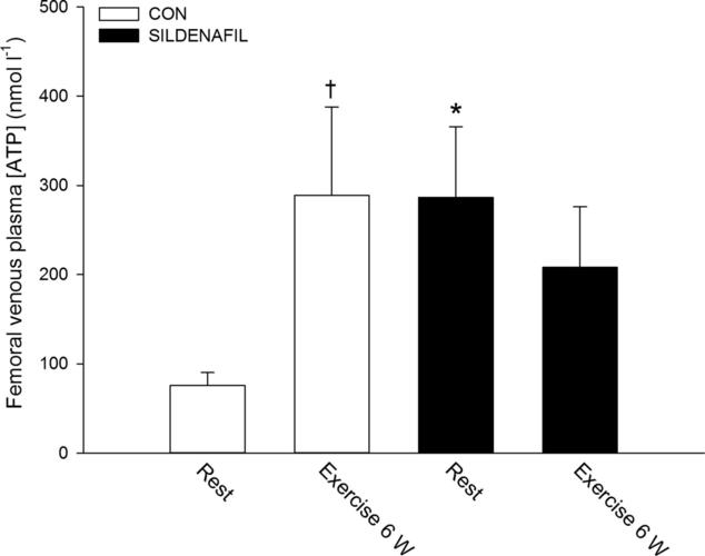 Menopausal Hormone Therapy (MHT) for Vasomotor Symptoms (VMS): A ...