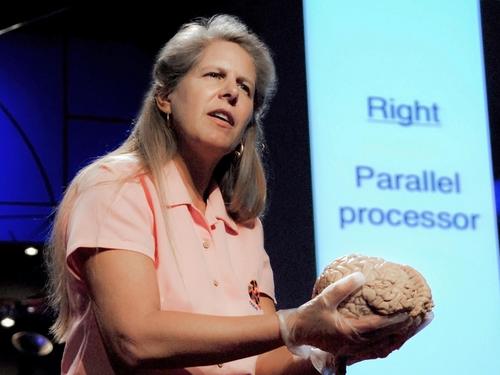 How Long Can a Human Survive Without a Brain? The Biological Reality ...